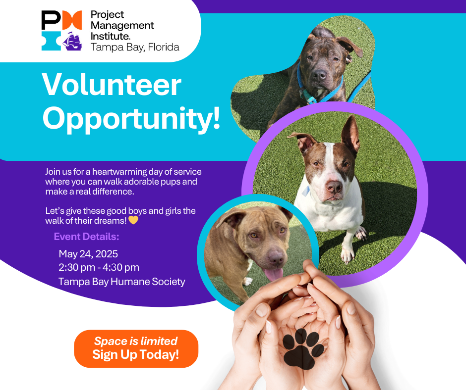 Giving Back: TB Humane Society Volunteering | PMI Tampa Bay